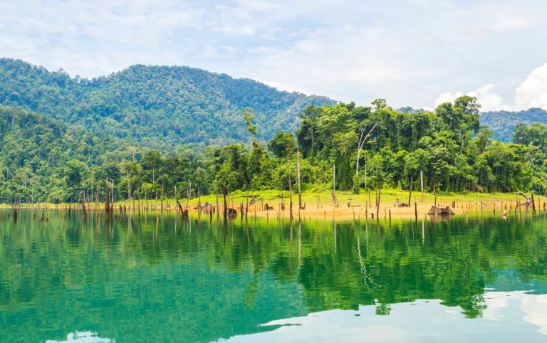 Travel Guide To Kenyir Lake: Exploring Malaysia’s Largest Man-Made Lake ...